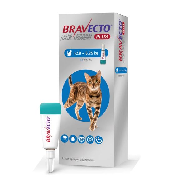 BRAVECTO PLUS GATO 250 MG 2,8 A 6,25 KG – Roar PetShop